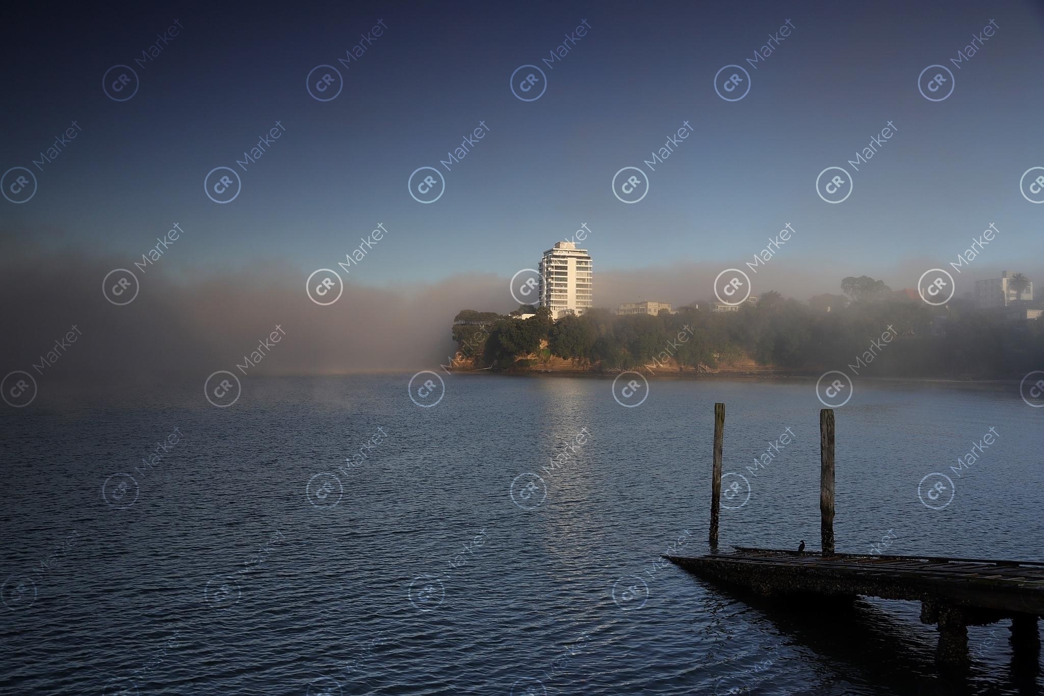 Foggy Morning Lake Pupuke Northshore Auckland - CR Market