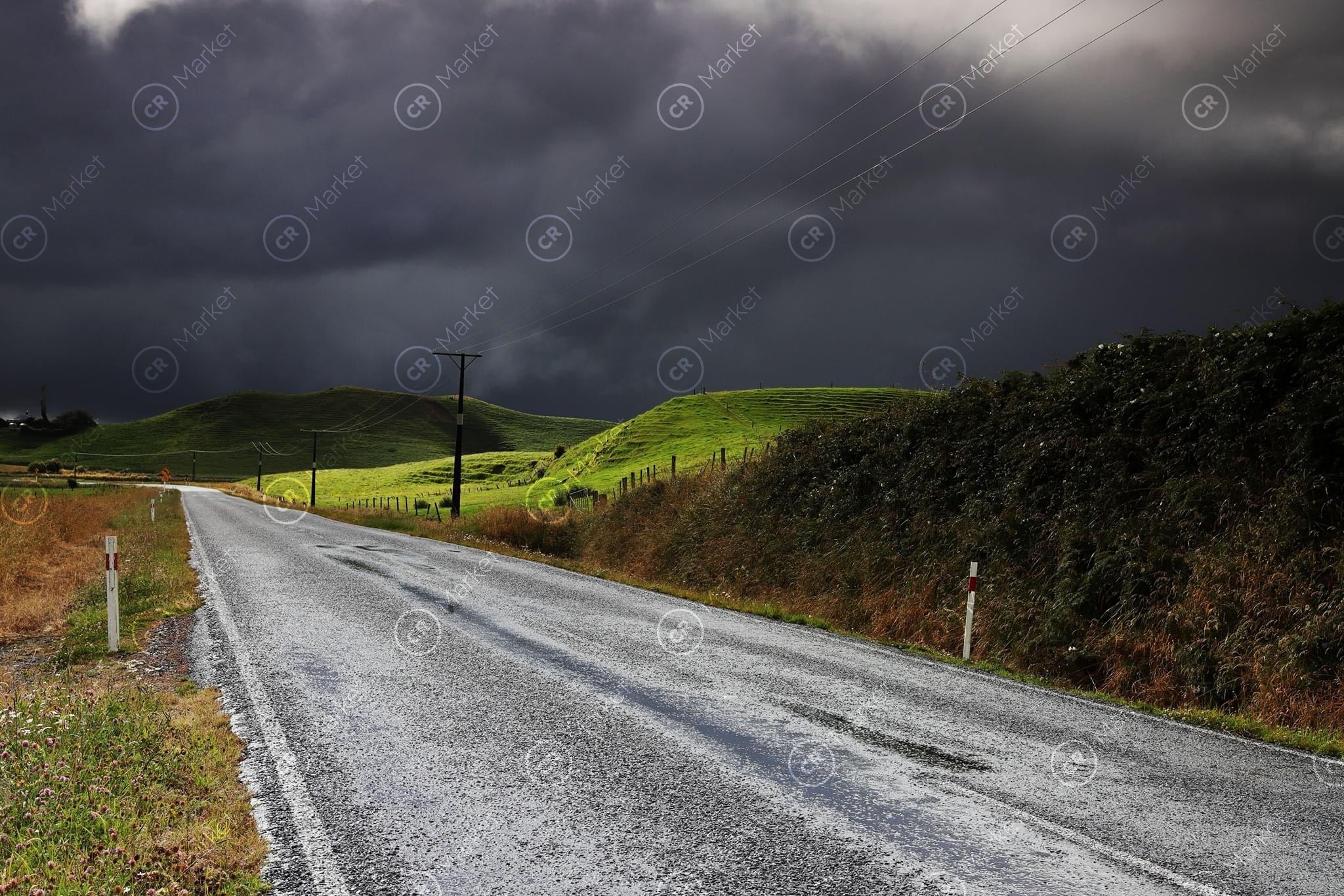 Forgotten Highway Toko - CR Market